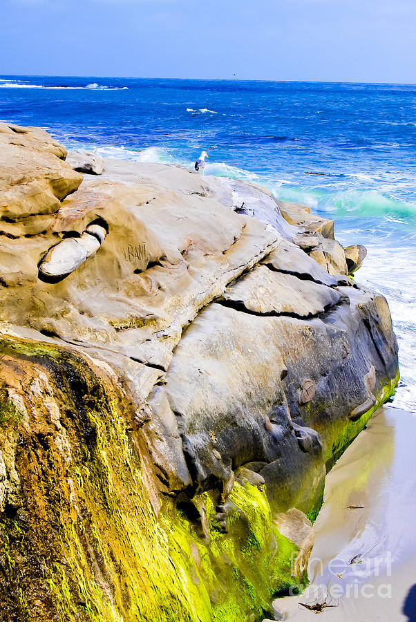 Windansea - 2 Photograph by Baywest Imaging | Fine Art America