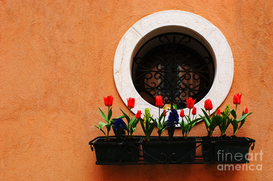 Window Box Venice Photograph by Bob Christopher - Fine Art America
