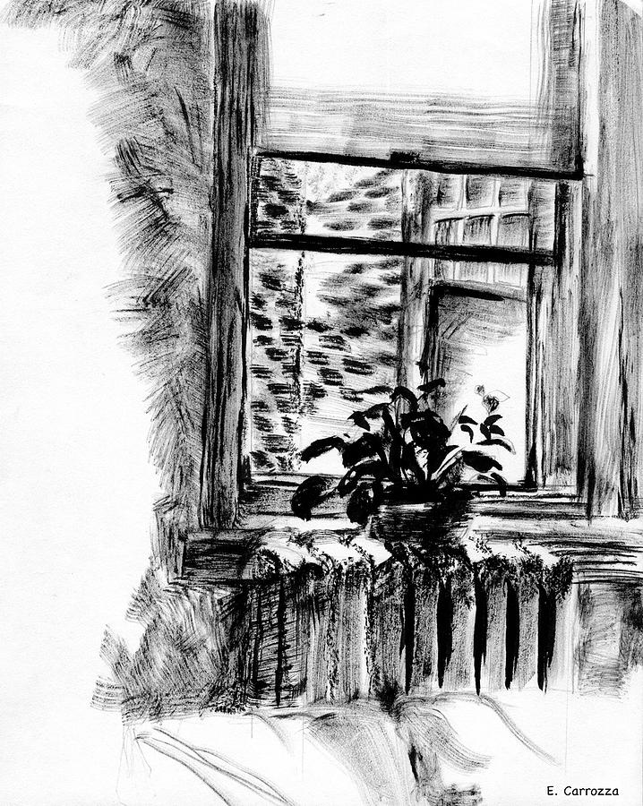Window Study Drawing by Elizabeth Carrozza - Fine Art America