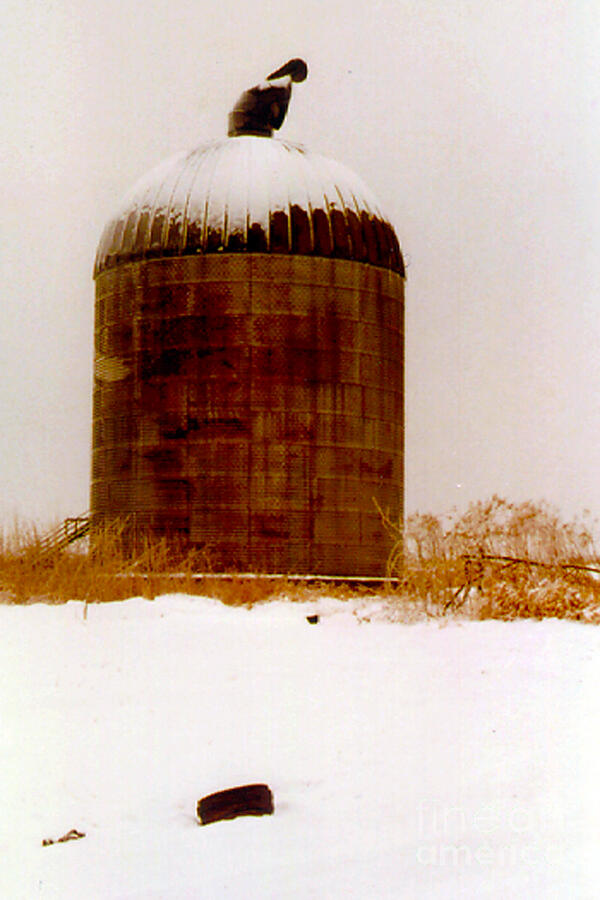 Winter Rust Photograph by Alan Look - Fine Art America