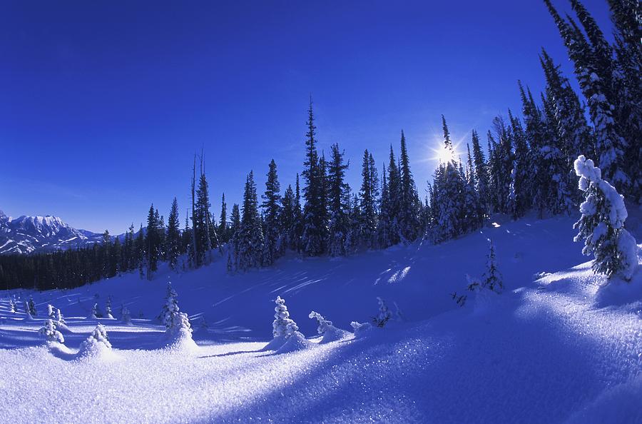 Winter Scene Photograph by Carson Ganci - Fine Art America
