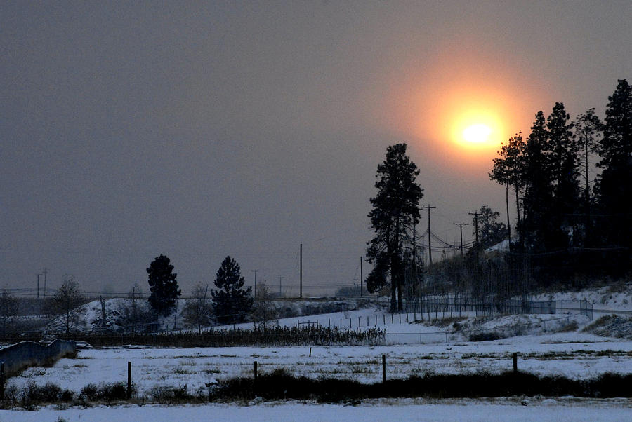 Winter Sun Photograph by Rob Dewar - Fine Art America
