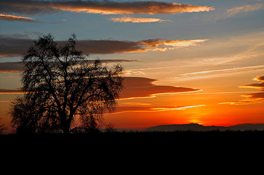 Winter Sunset 5 Photograph by James Stodola - Fine Art America