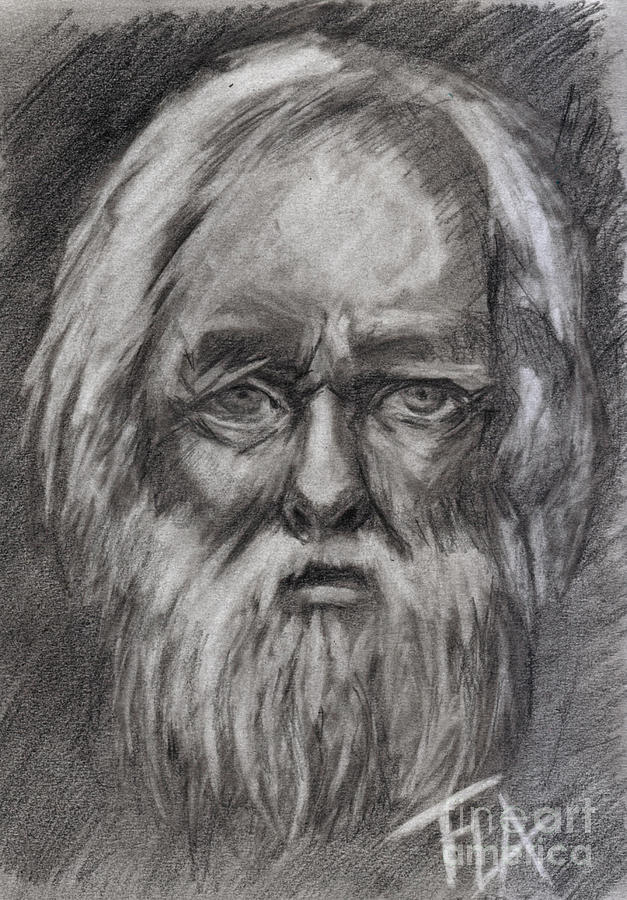 Wisdom Drawing by Fla Arakaki | Fine Art America