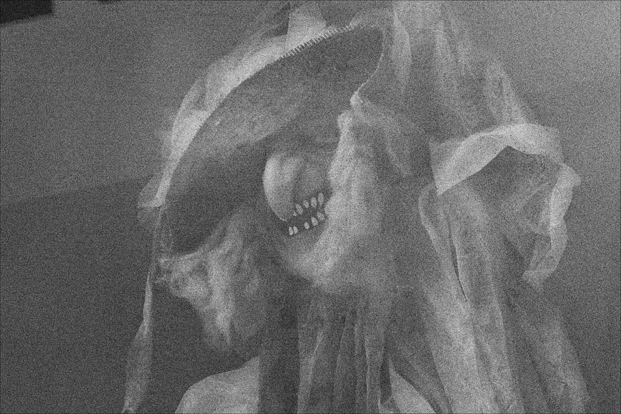 Witch in a Window Photograph by Robert Ullmann