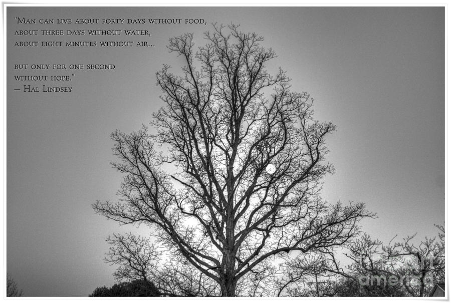 Without hope... Photograph by Dan Stone - Fine Art America