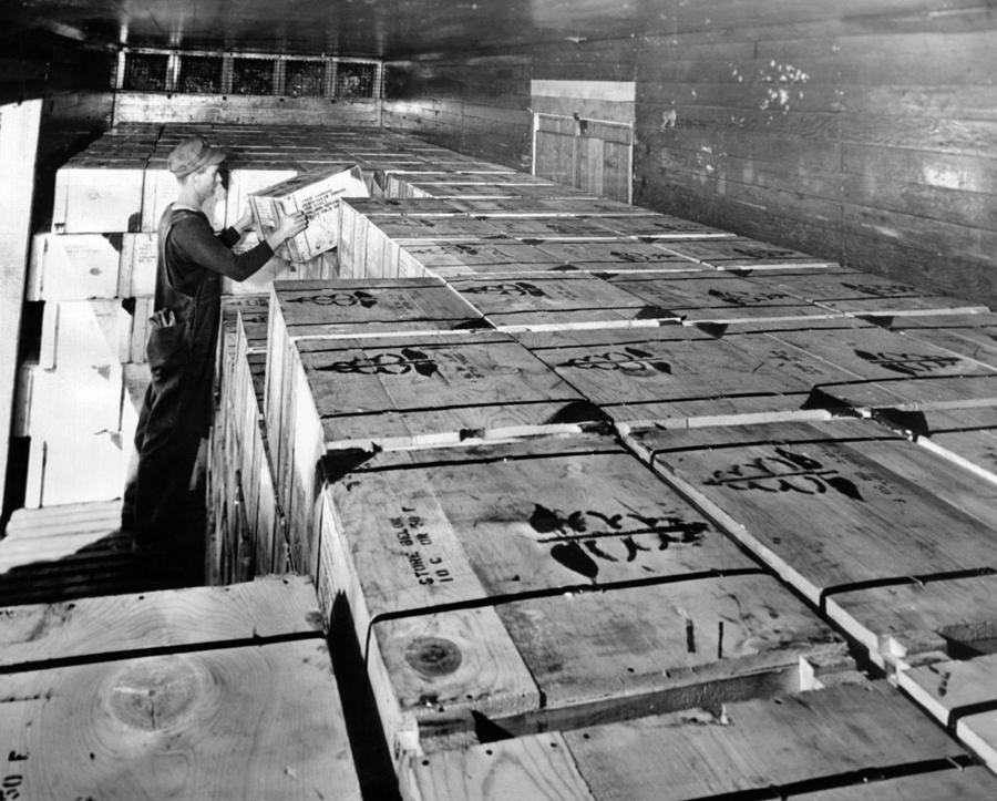 Worker Loading The First Full Box Photograph by Everett - Fine Art America