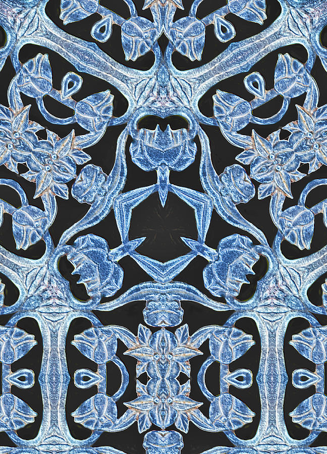 Wrought Iron Pattern Digital Art by Linda Phelps