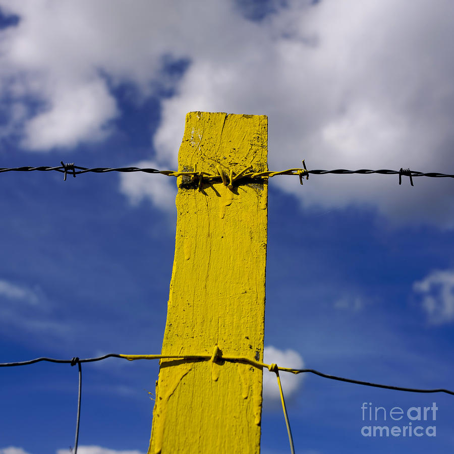 Yellow post Photograph by Bernard Jaubert - Pixels