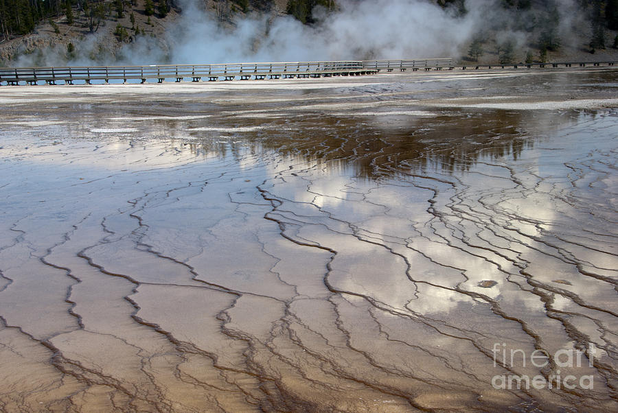 Yellowstone Reflection Photograph by Sandra Bronstein
