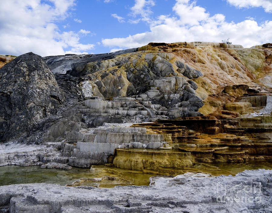 Yellowstone Salt Flats Photograph by Michael Groff - Fine Art America