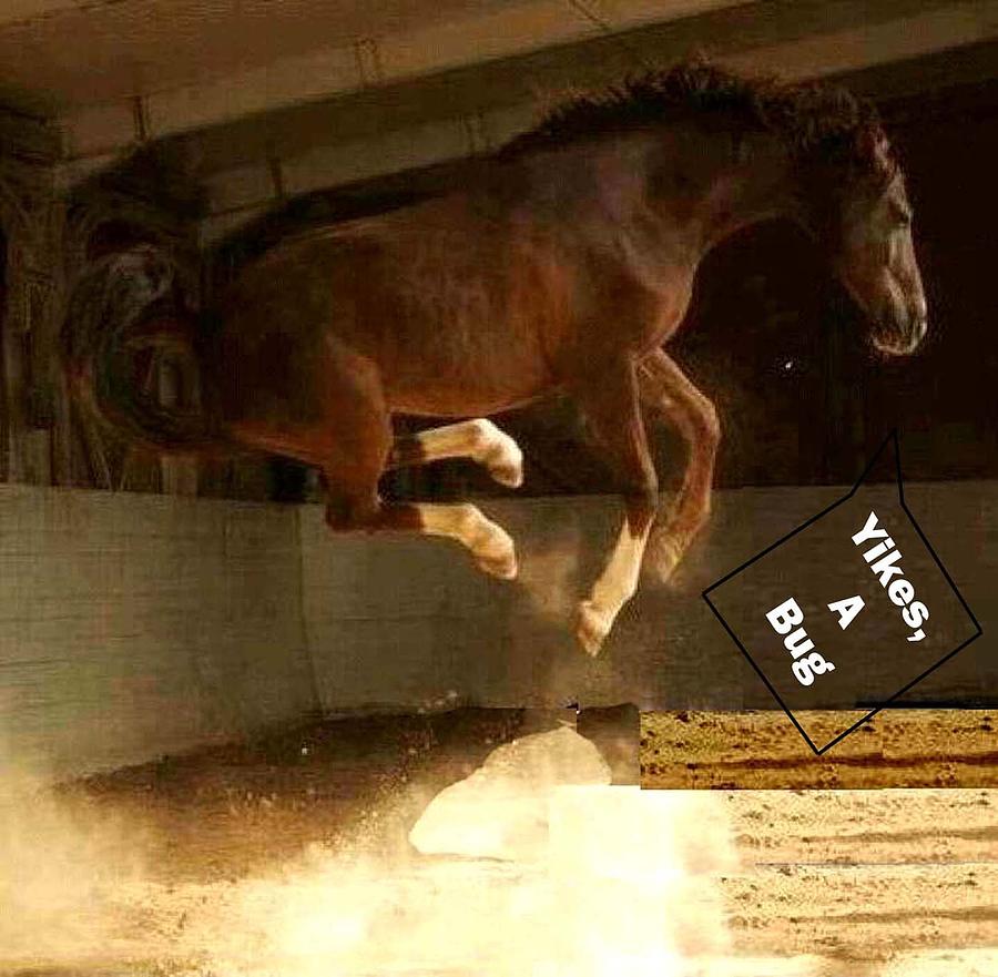 Yikes A Bug Photograph by De Beall - Pixels