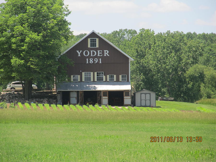 Yoder Barn Photograph by Tina M Wenger - Fine Art America