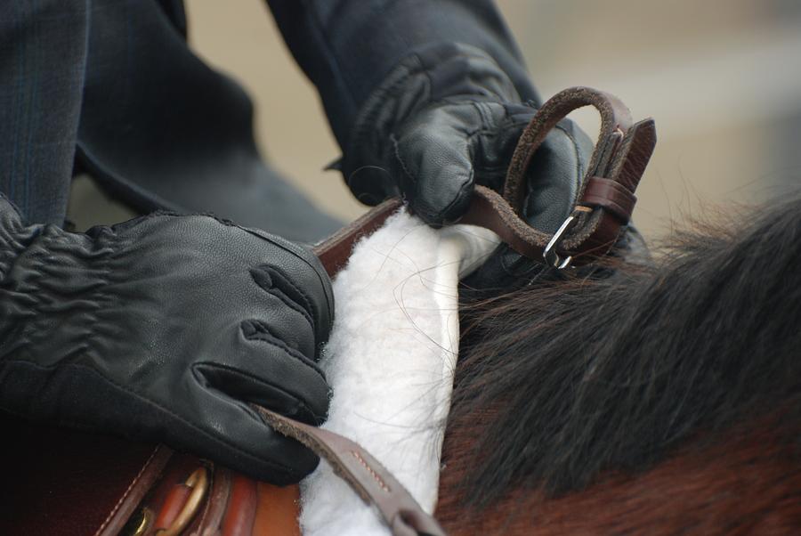 Young Rider Photograph by Alexis League - Fine Art America