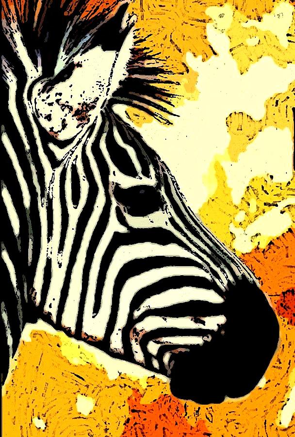 Zebra Photograph by Dee Phillips - Fine Art America