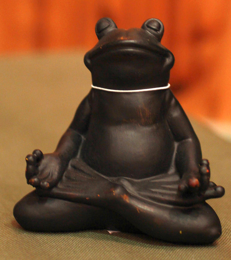 Zen Frog Photograph by Naomi Wittlin - Fine Art America