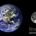 Earth And Moon Size Comparison Poster by Science Source