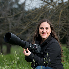 Grizzly Bear 399 and Cubs Photograph by Jennifer Leigh Warner - Fine ...