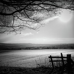 Wendy Corrigan Womens Tank Tops | Fine Art America