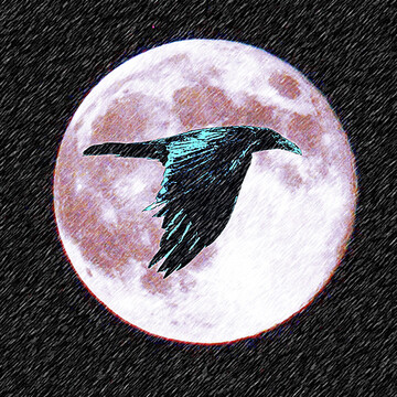 David Ragland - Official Art Shop | Fine Art America