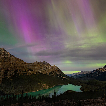 Lei Zhang - Official Website