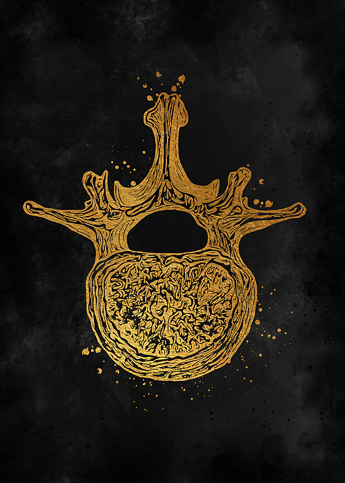 Watercolor Lumbar Vertebra Superior View Watercolor Print Anatomy ...