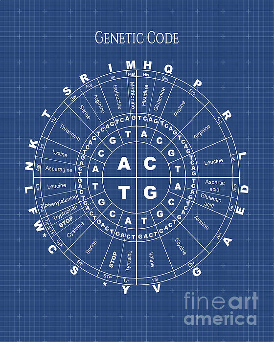 Dna Code Chart
