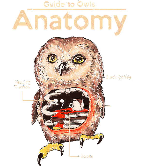 Anatomy of Owls Greeting Card by Anatomy of Owls