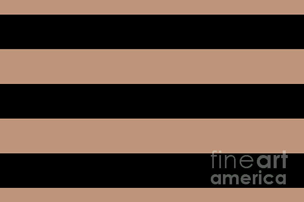 Black Peach Minimal Horizontal Stripe Pattern Pairs 2023 COTY Desert ...