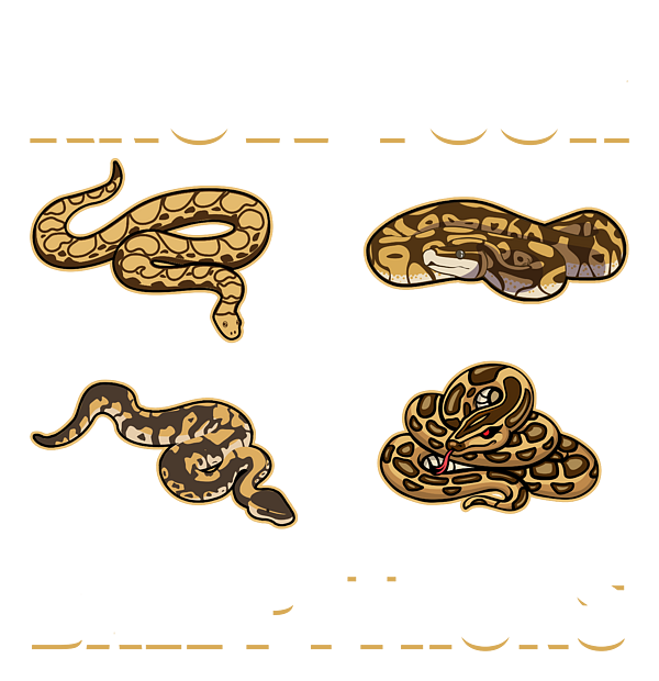 Know Your Ball Pythons Snake Boa Pet Reptile Greeting Card by Florian ...