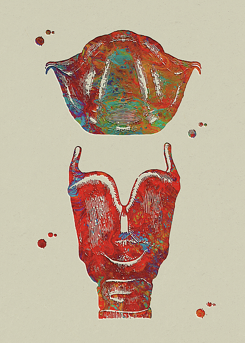 Larynx Watercolor Print Mouth Anatomy Medical Art Vocal Box Poster ...