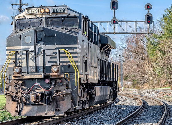 NS pusher Greeting Card by Saga Imagery Kevin and Susanne Dickman