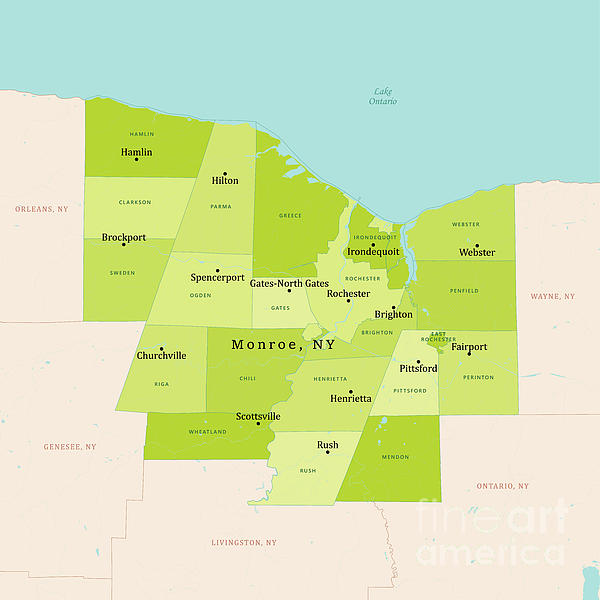 NY Monroe County Vector Map Green Beach Sheet by Frank Ramspott - Pixels