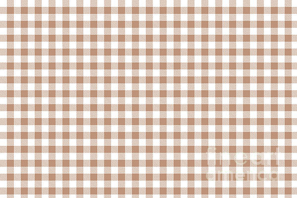 Peach White Buffalo Plaid Checkerboard Pattern Pairs 2023 COTY Desert ...