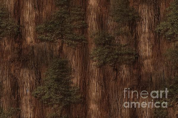 Tree Trunk Texture Seamless