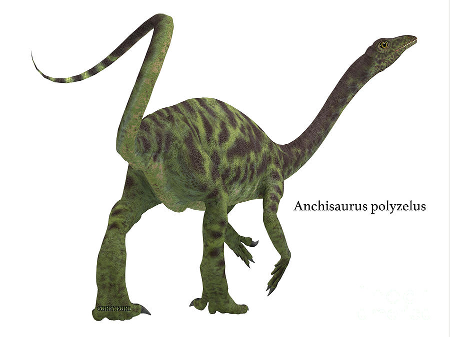 Anchisaurus Dinosaur Tail Digital Art By Corey Ford Pixels