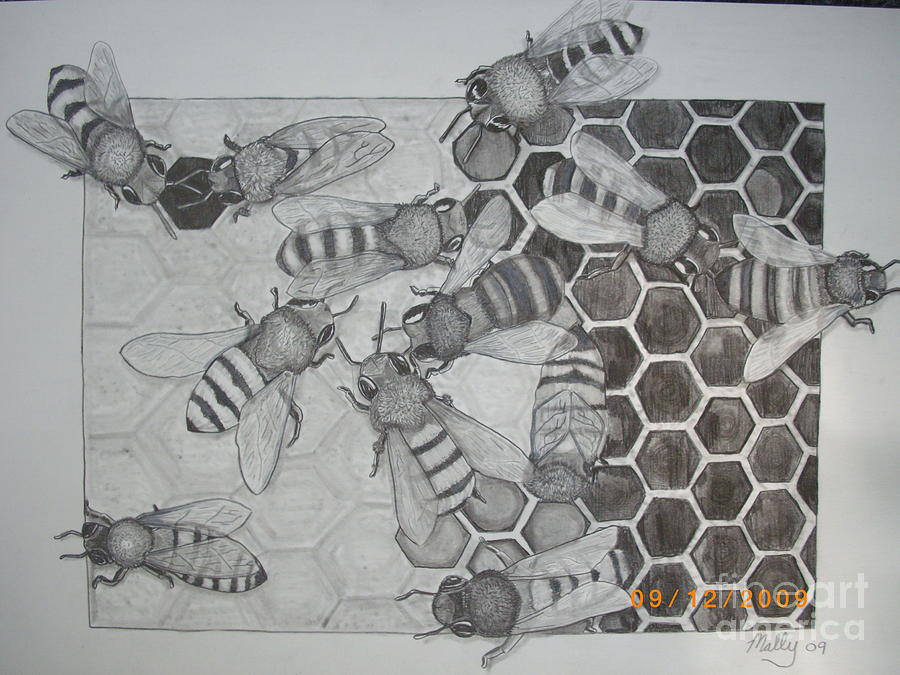 Bizzy Beez #1 Drawing by Jason Mally - Fine Art America