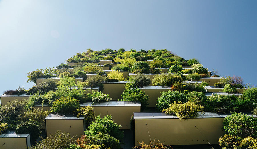 Bosco Verticale, Milan - Italy Photograph by Alexandre Rotenberg - Fine ... Bosco Verticale, Milan - Italy Photograph by Alexandre Rotenberg - Fine ...