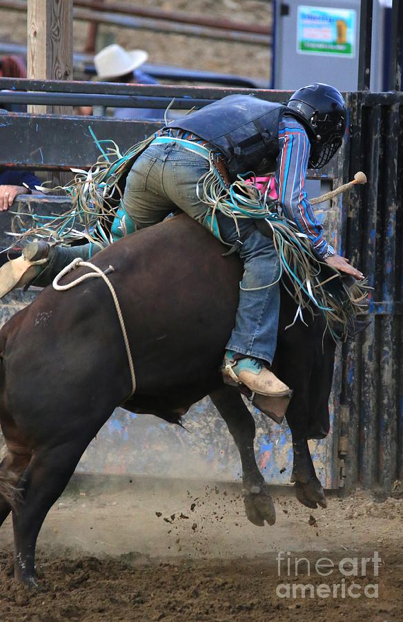 Cowboy Riding A Bull 8 Seconds long Photograph by Douglas Sacha - Fine ...