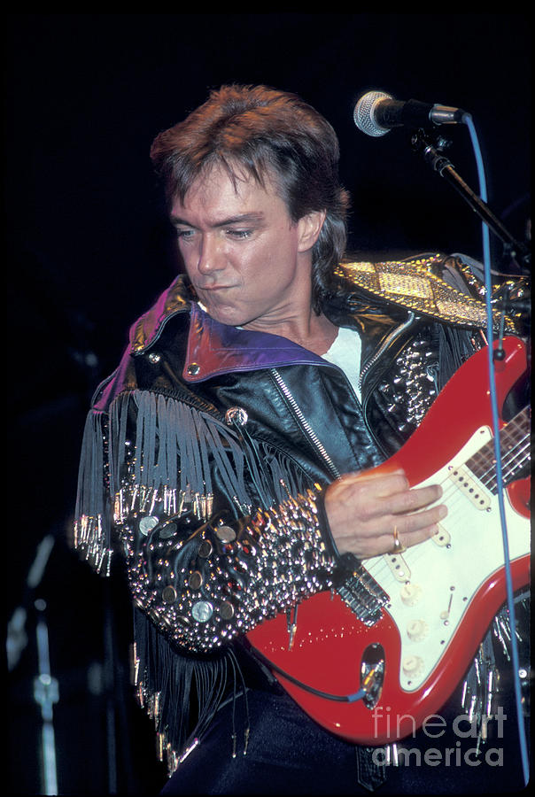 David Cassidy Photograph By Concert Photos Pixels