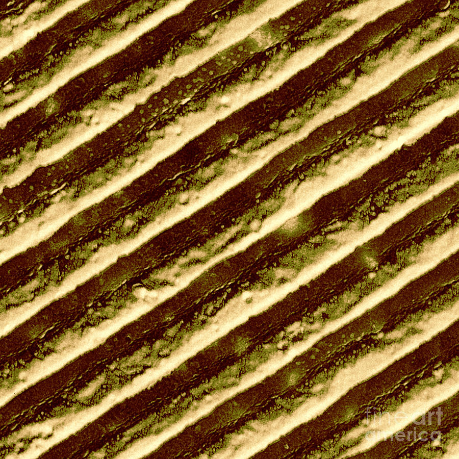 Diffraction Grating, Tem Photograph by Scimat - Fine Art America