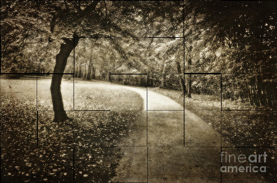Englischer Garten Tiled Photograph By Michael Ziegler Fine Art America