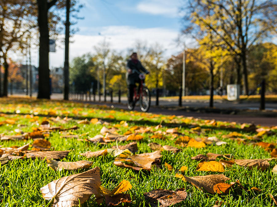 Fall leaves and street background #1 Photograph by Huseyin Bilgen - Pixels