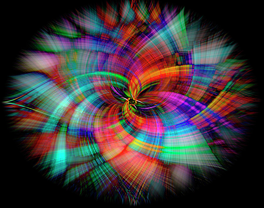 Light Petals Photograph by Nancie Rowan - Fine Art America