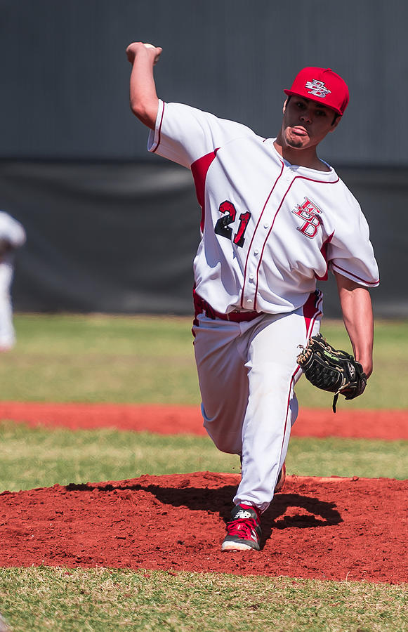 Pitcher Photograph by Christopher Sharp - Fine Art America