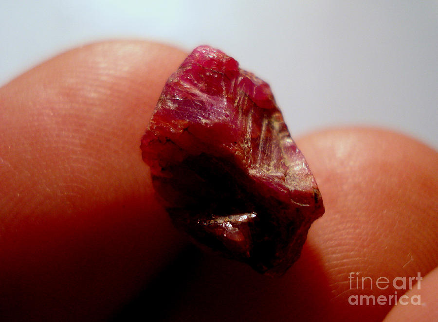 Ruby Crystal Photograph by Neon Flash | Fine Art America