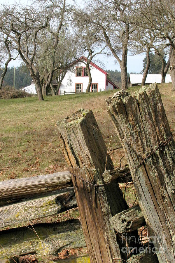 Split rail Photograph by Frank Townsley - Fine Art America