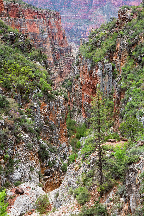 Steep Canyon Cliffs Photograph by Mike Cavaroc - Pixels