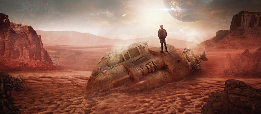 Stranded Digital Art by Susan Gerardi - Fine Art America