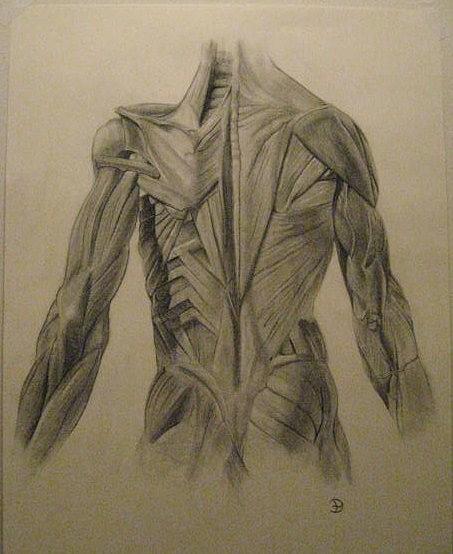The Body Drawing by David Eldridge - Fine Art America